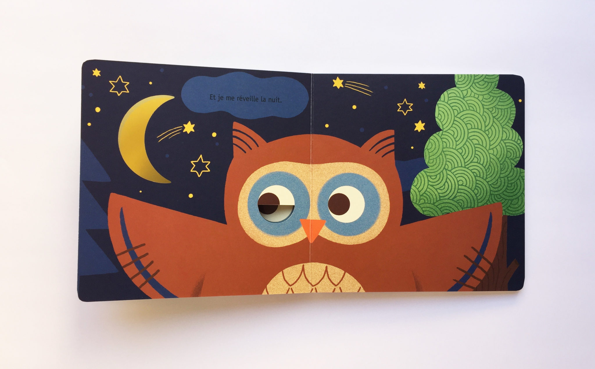 Le hibou - Éditions Amaterra