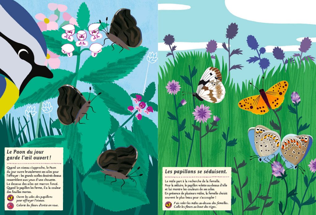 Les papillons du monde – Éditions Amaterra