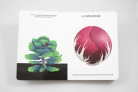 Légumes de saison - Éditions Amaterra