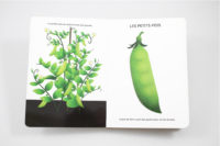Légumes de saison - Éditions Amaterra
