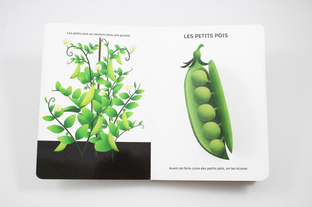 Légumes de saison – Éditions Amaterra