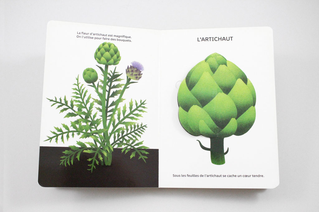 Légumes de saison – Éditions Amaterra