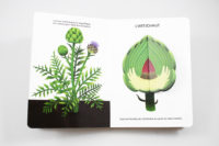 Légumes de saison - Éditions Amaterra