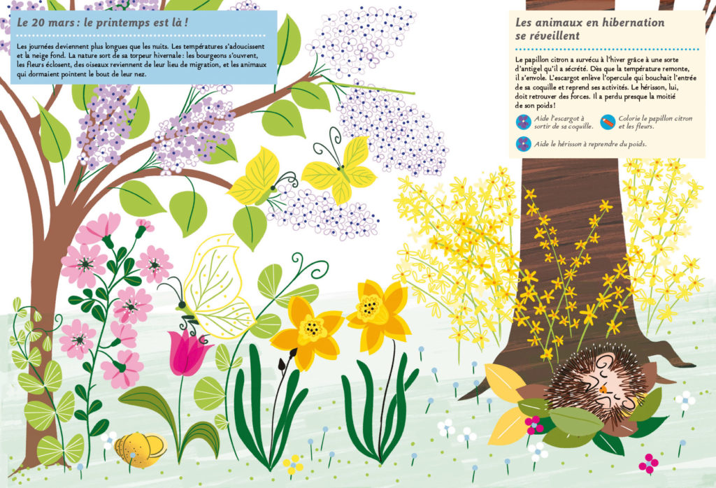 Les quatre saisons – Éditions Amaterra