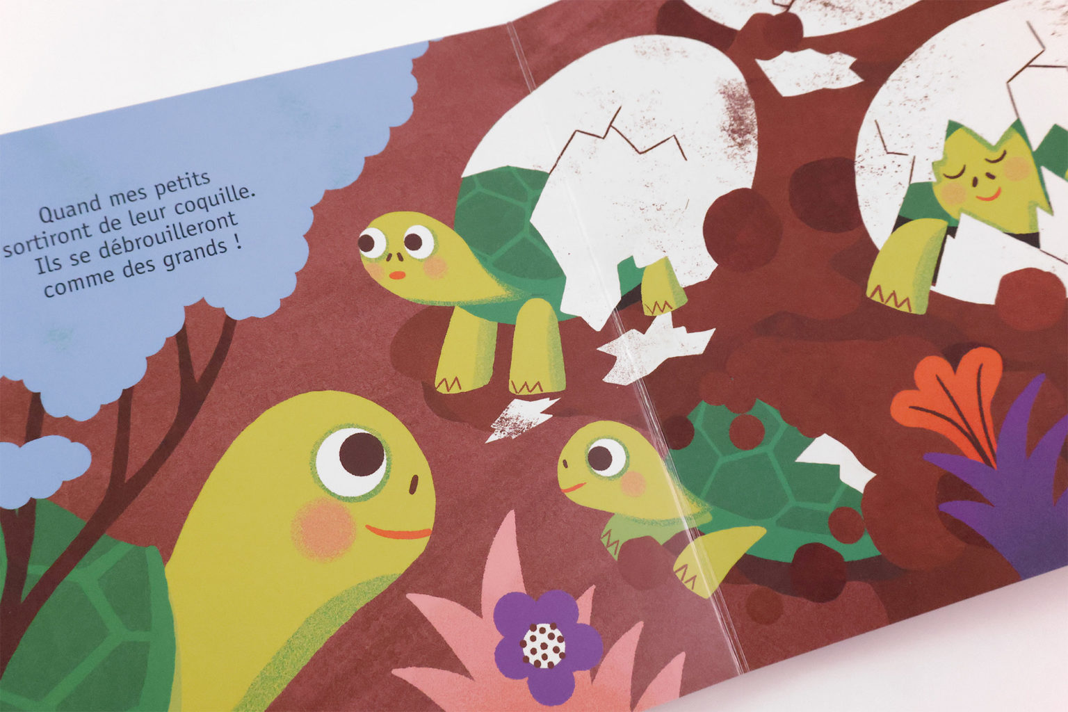 La tortue - Éditions Amaterra