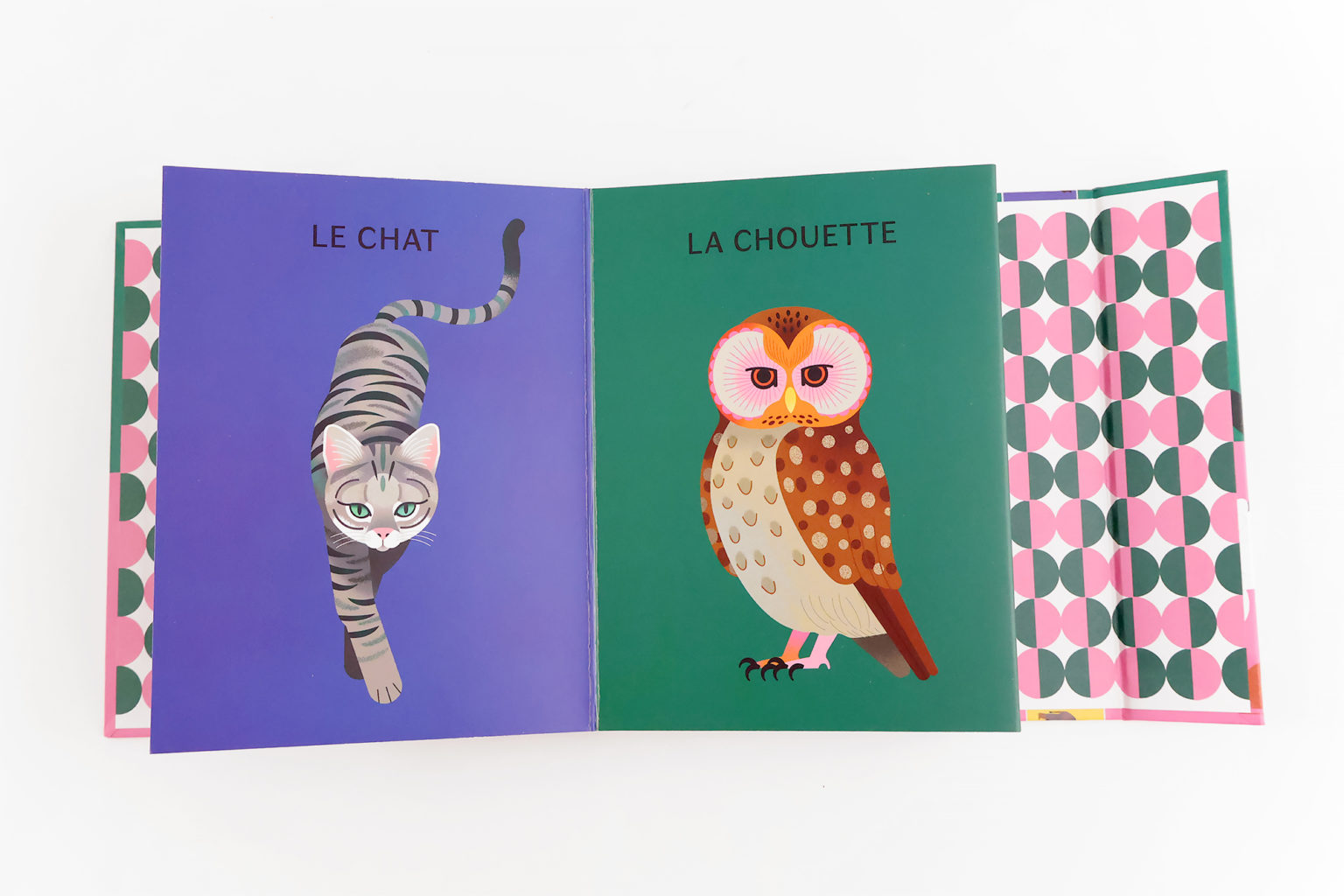 Les animaux du jour Les animaux de la nuit – Éditions Amaterra