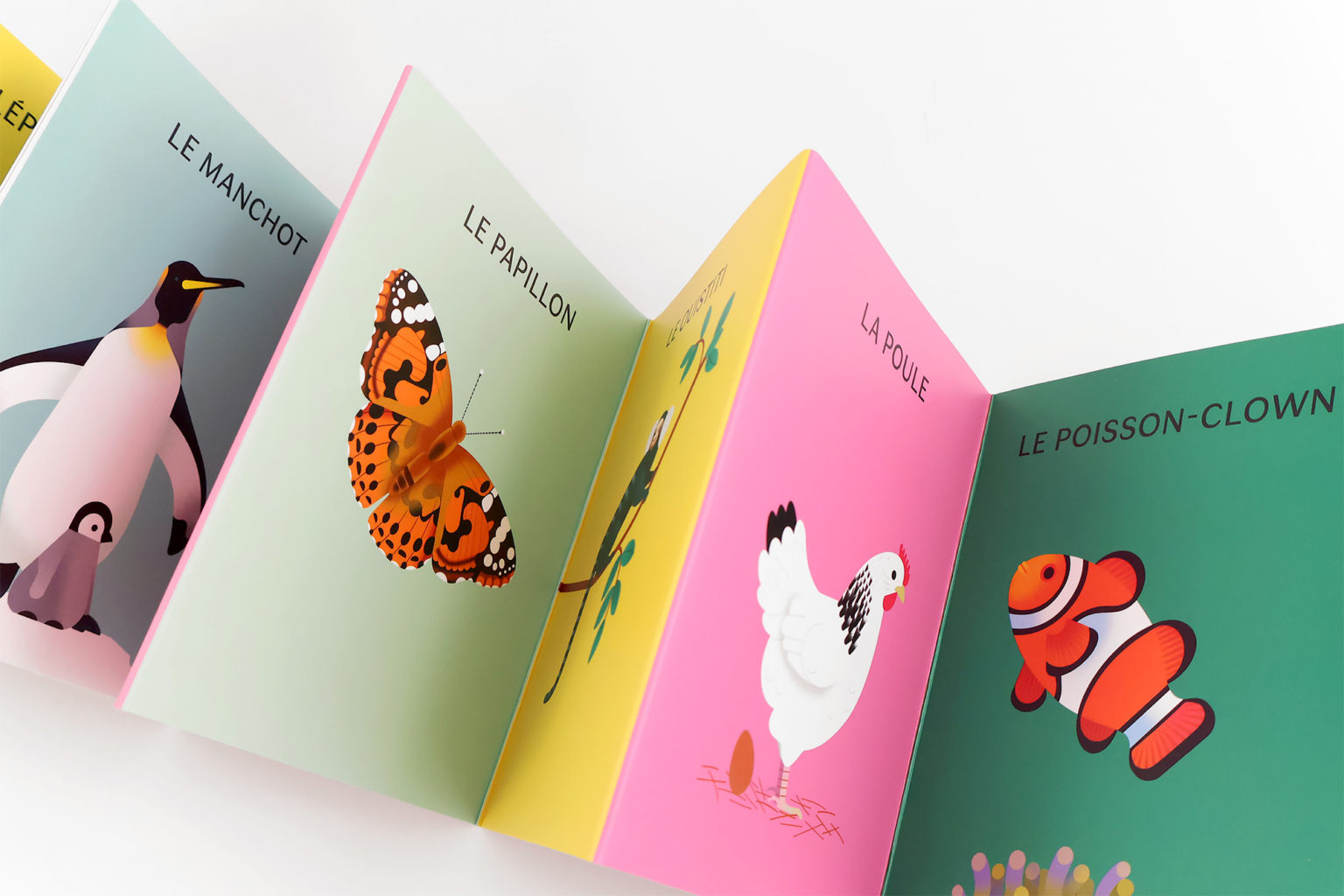 Les animaux du jour Les animaux de la nuit - Éditions Amaterra